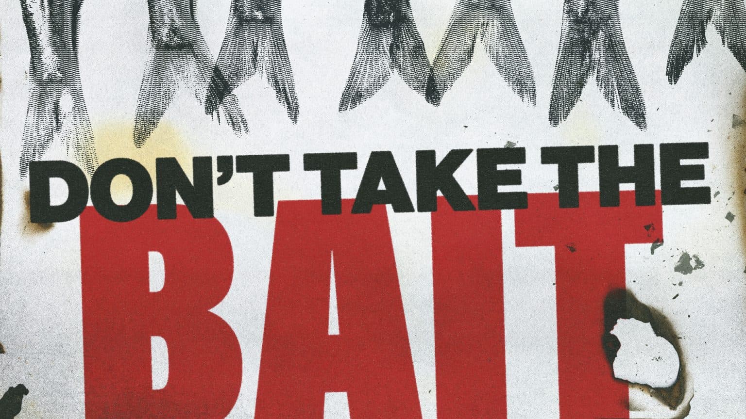“Don’t Take the bait” Message Notes – Move Church Forward